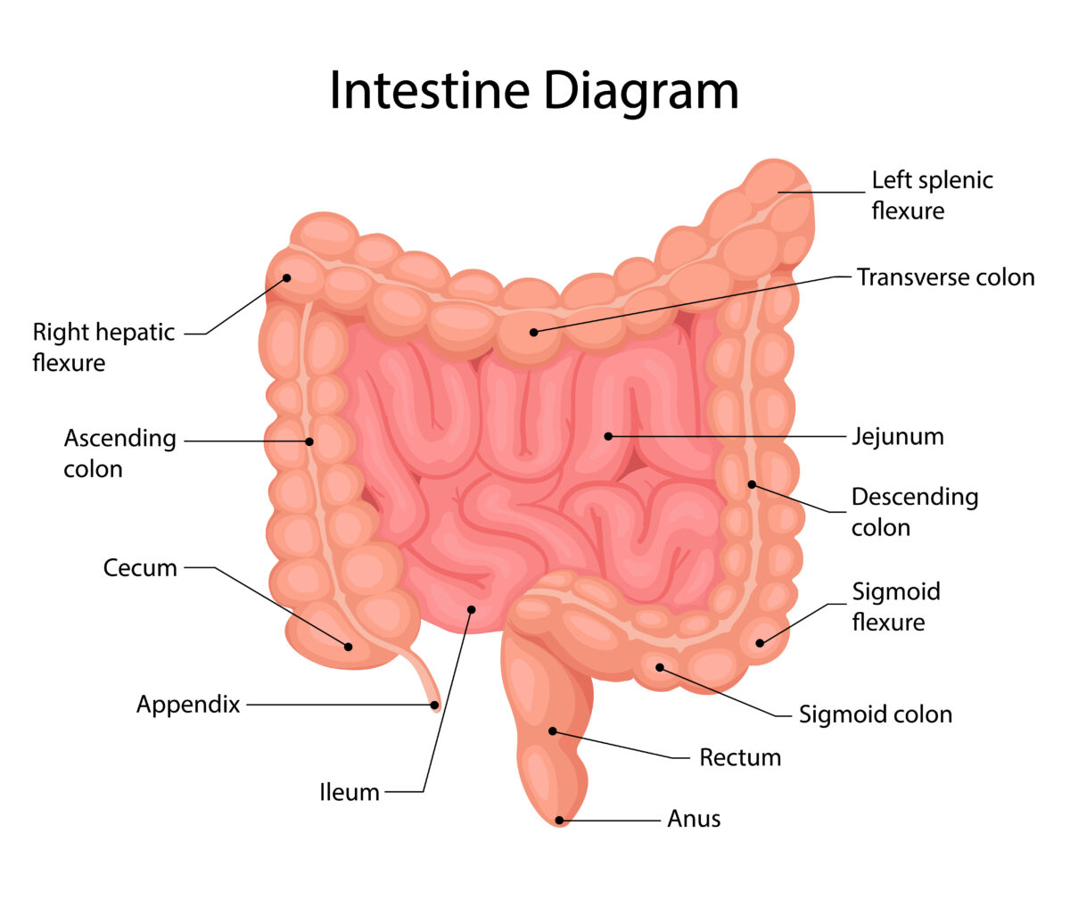 Well sighted Microbiome Of The Blind Gut MicroBiomePower well-sighted-microbiome-of-the-blind-gut-microbiomepower