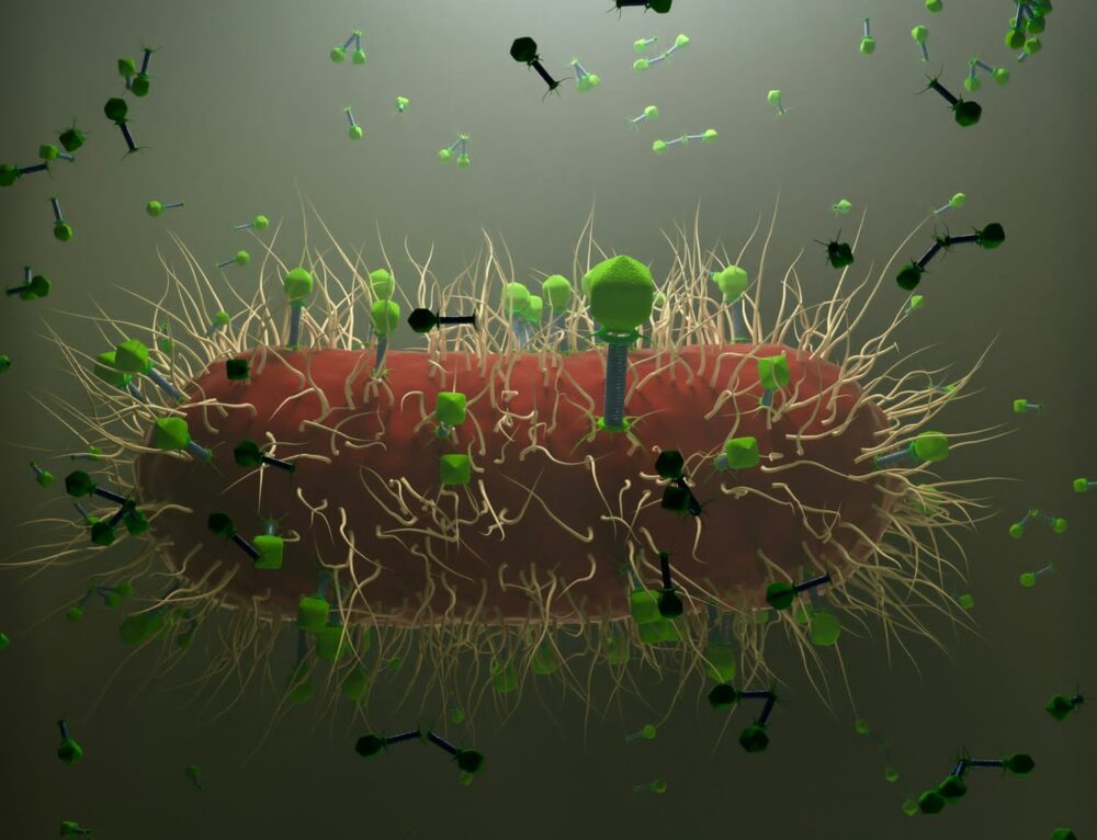 Microbe state - MicroBiomePower
